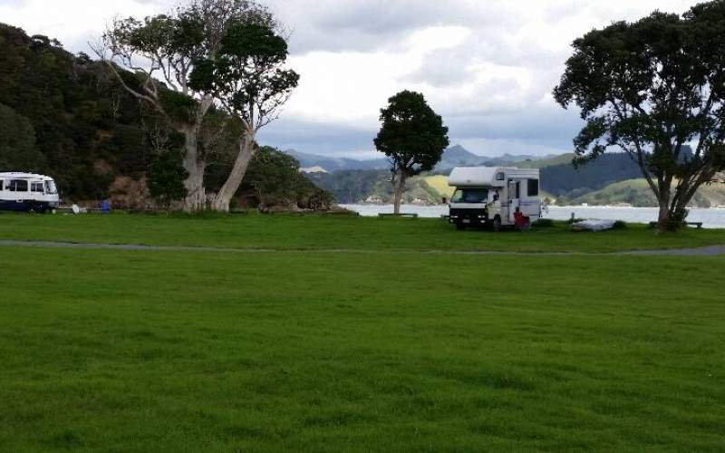 Puriri Bay Campsite | Freedom/Basic Camp | New Zealand
